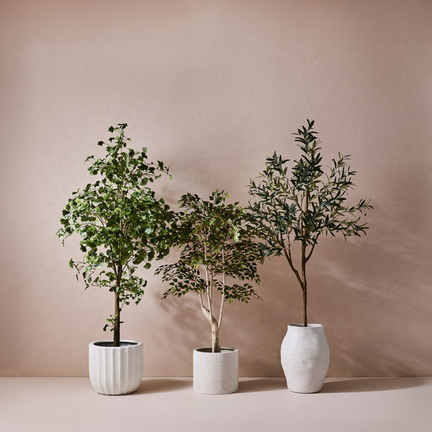 TREES | Floral Interiors – Tagged "Silver Birch"– Floral Interiors Shop