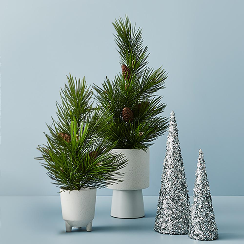 Tree Pine Jasper in pot Green 69cmh – Floral Interiors Shop