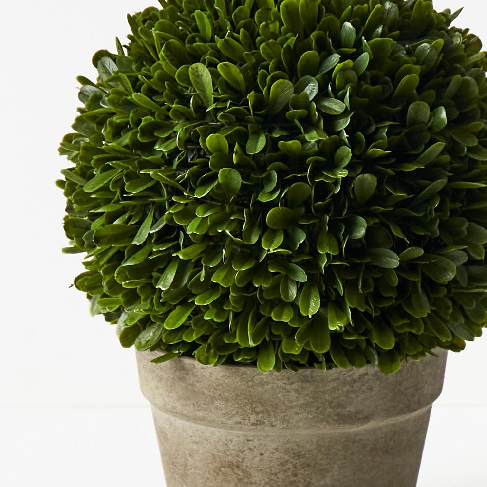 Boxwood Ball in Pot Green 36cmh – Floral Interiors Shop