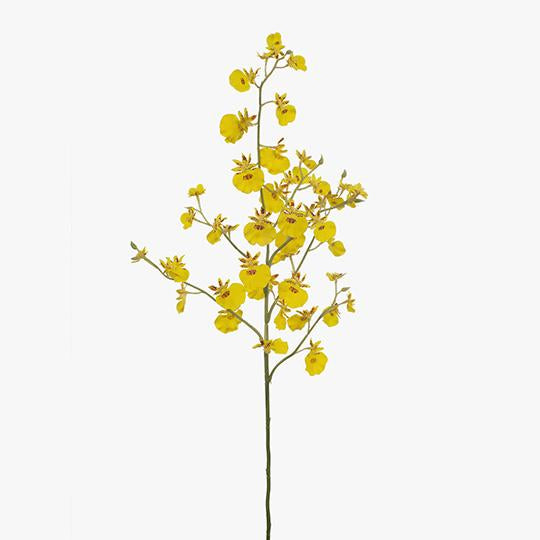 Orchid Dancing Yellow 73cml – Floral Interiors Shop
