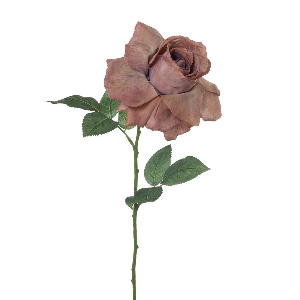 Rose Calista Dusty Mauve 66cml – Floral Interiors Shop