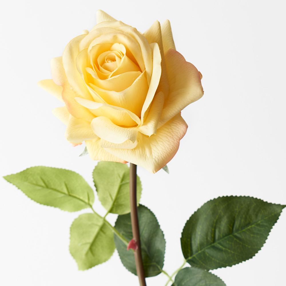 Hannah Rose Yellow 75cml – Floral Interiors Shop